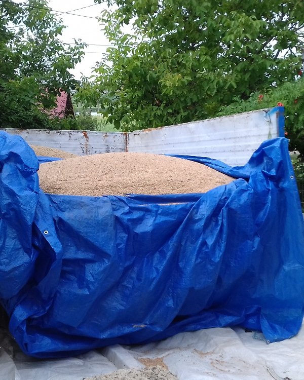 The Romanian Aid Foundation Asociatia Neemia Blog Archive News